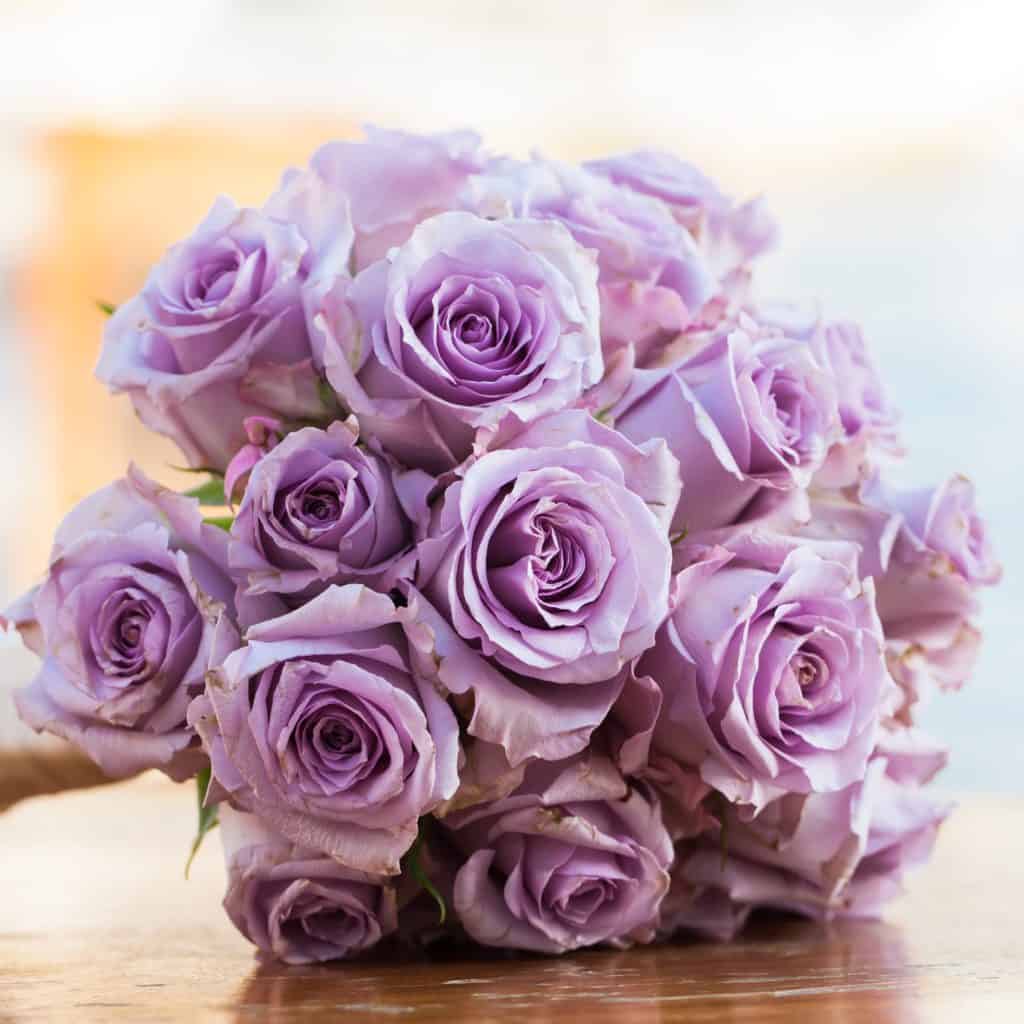 The Unique Beauty of Pastel-Colored Flowers - Expressions Unlimited ...